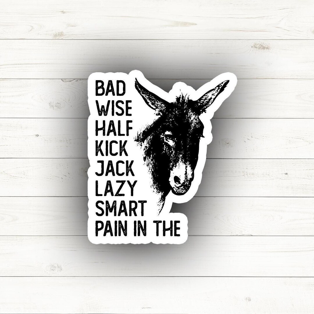 Funny Donkey Quote: Laptop & Water Bottle Sticker or Fridge Magnet - Etsy