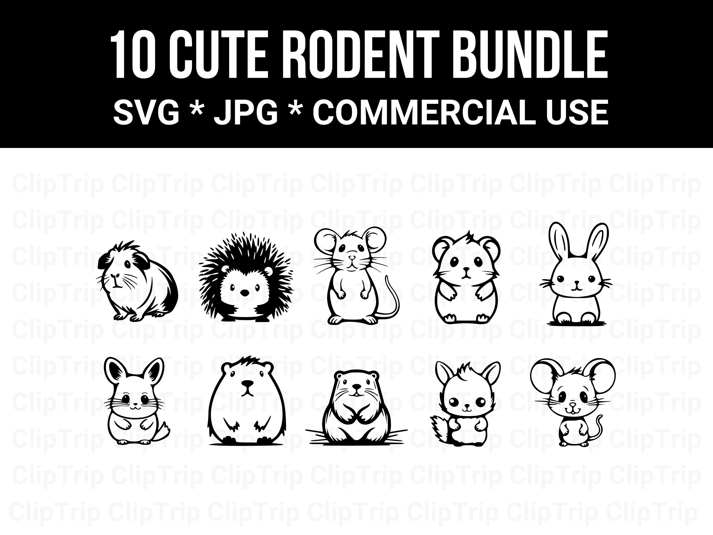 Rodent SVG Bundle, Animals Outline Svg, Rodent Clipart, Silhouette ...