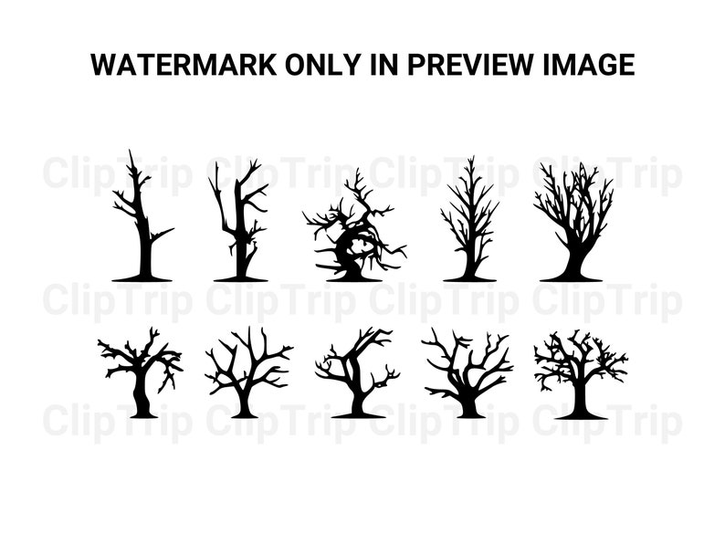 77 Tree SVG Bundle, Tree Silhouette, Tree Clipart, Palm Tree Svg, Fir ...