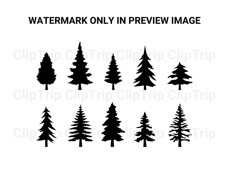 77 Tree SVG Bundle, Tree Silhouette, Tree Clipart, Palm Tree Svg, Fir ...