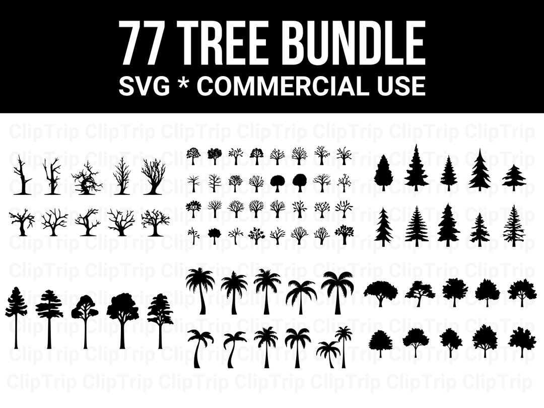 77 Tree SVG Bundle, Tree Silhouette, Tree Clipart, Palm Tree Svg, Fir ...