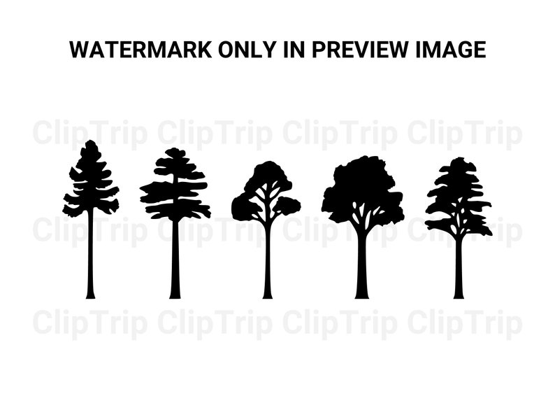 77 Tree SVG Bundle, Tree Silhouette, Tree Clipart, Palm Tree Svg, Fir ...