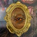 Brown and Gold Monster Dragon Eye Sculpture Wall Art in Gold Frame - Etsy
