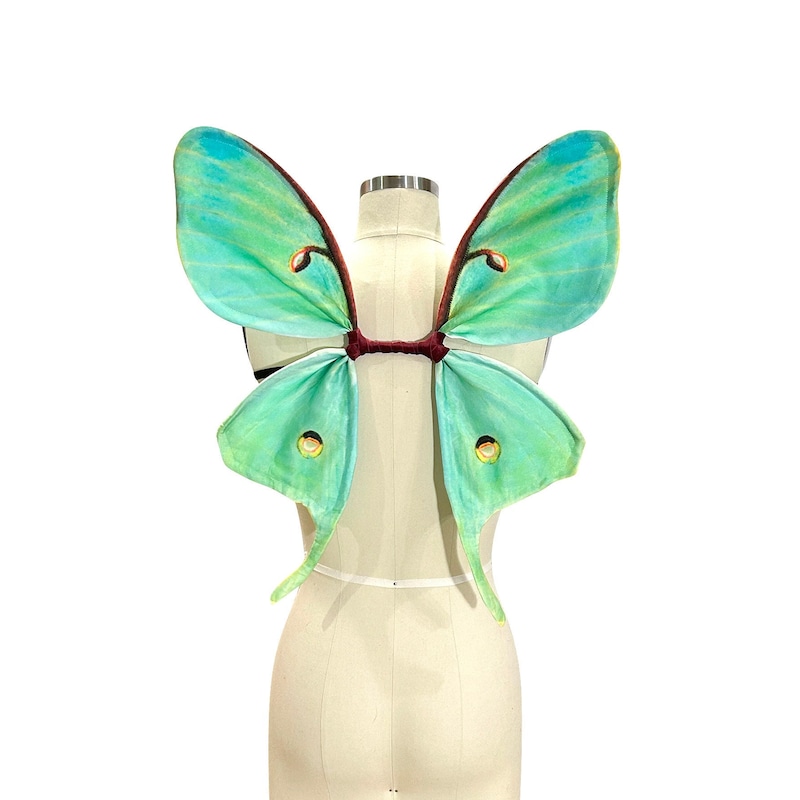 Moth Costume - Etsy