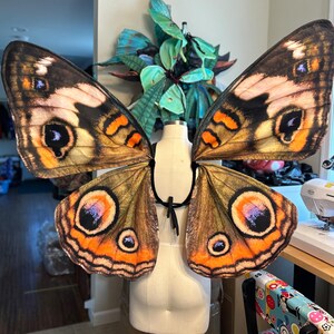 Large Buckeye Butterfly Costume Wings - Butterfly Halloween Costume - Etsy