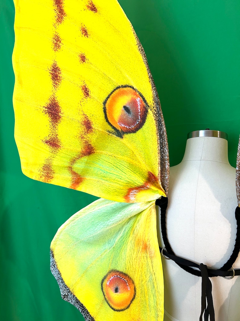 In Stock - Comet Moth Costume Wings Madagascan Moon Moth Large - Etsy