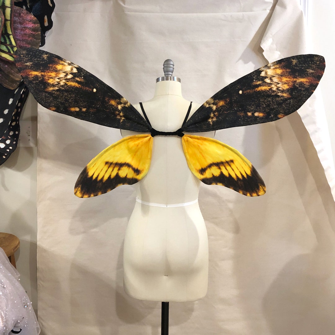 Deaths Head Hawk Moth Costume Wings Halloween Costume Medium Size - Etsy