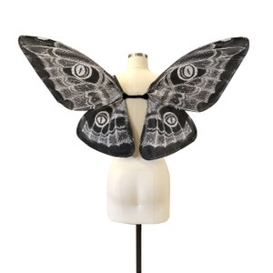Halloween Mothman Costume Wings for Women - Black and White Moth Wings ...