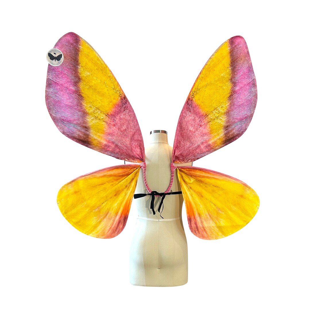 Large Rosy Maple Moth Costume Wings - Etsy