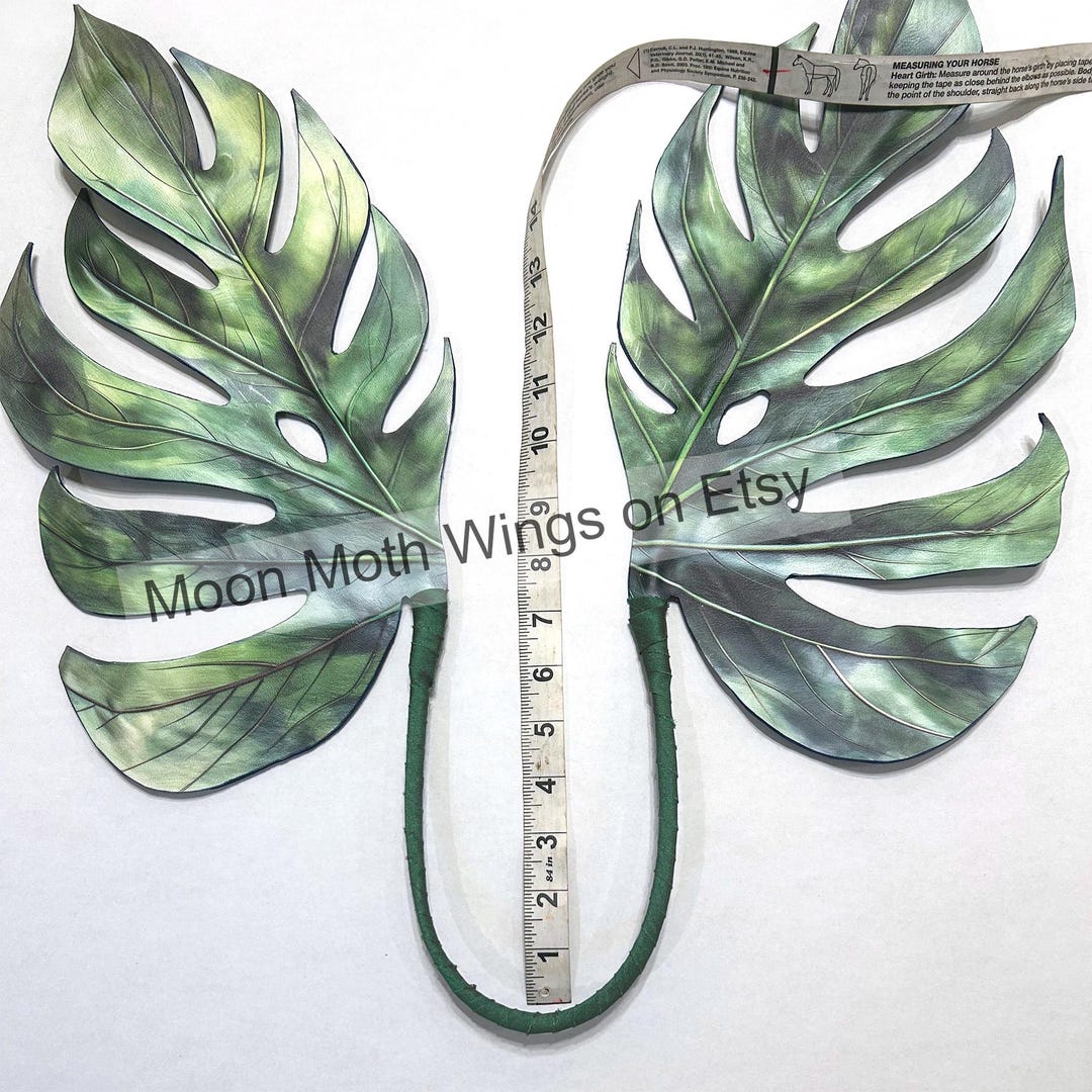 Medium Monstera Leaf Fairy Wings, Adult Fairy Wings, Corset Friendly ...