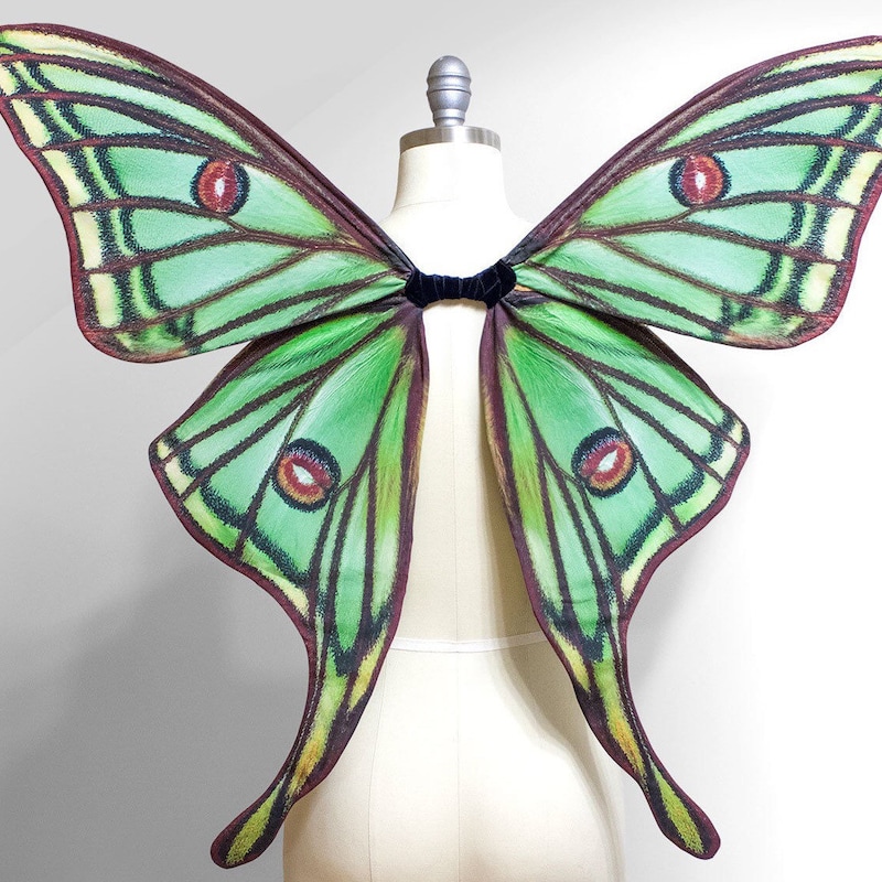 Moth Costume - Etsy