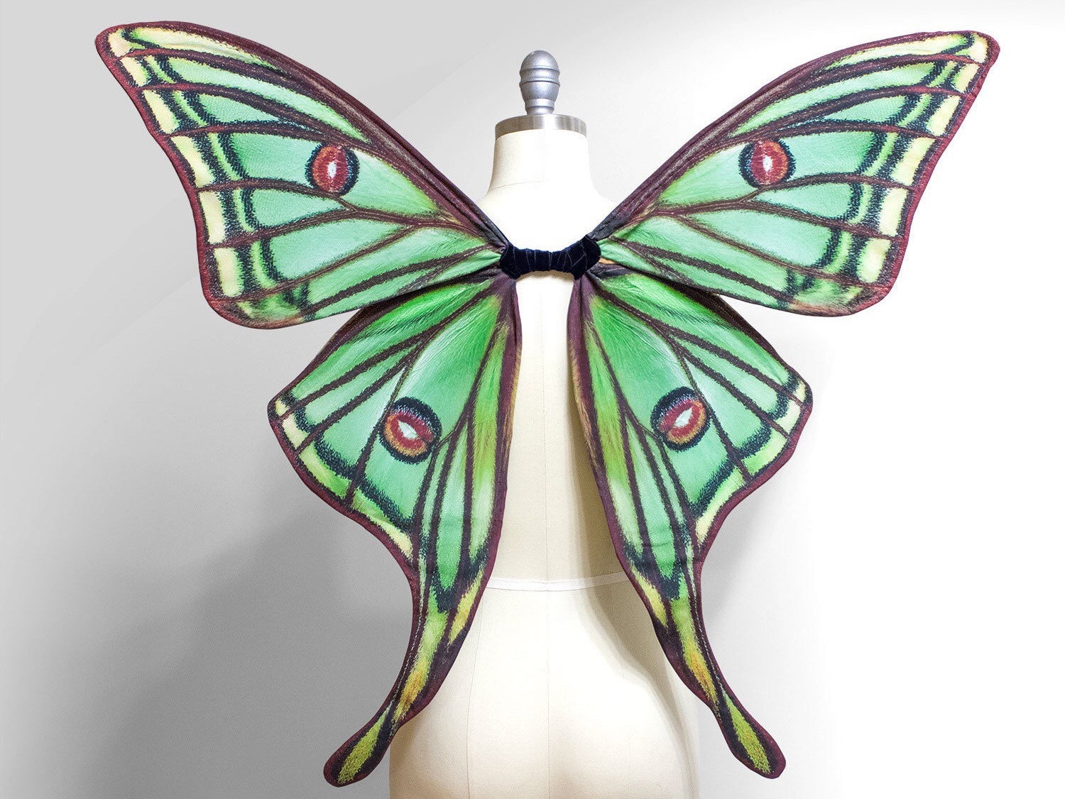 Spanish Moon MOTH Costume Wings, Green Fairy Wings, Moth Halloween ...