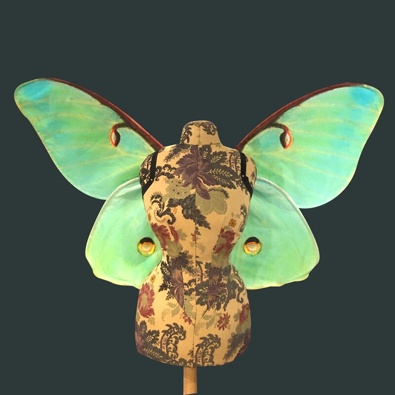 Moth Costume - Etsy