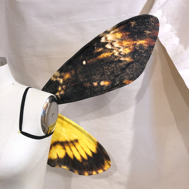 Deaths Head Hawk Moth Costume Wings Halloween Costume - Etsy