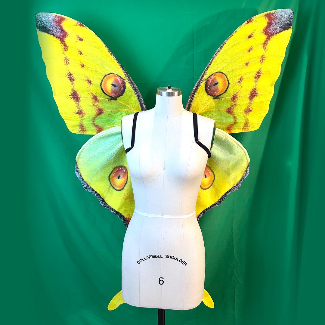 In Stock - Comet Moth Costume Wings Madagascan Moon Moth Large - Etsy