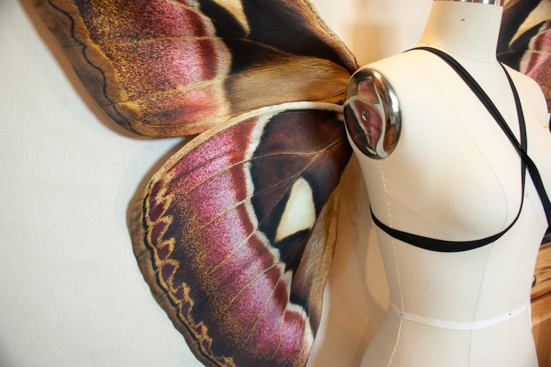 Large Moth Costume Wings Atlas MOTH Halloween Costume or Fairy - Etsy