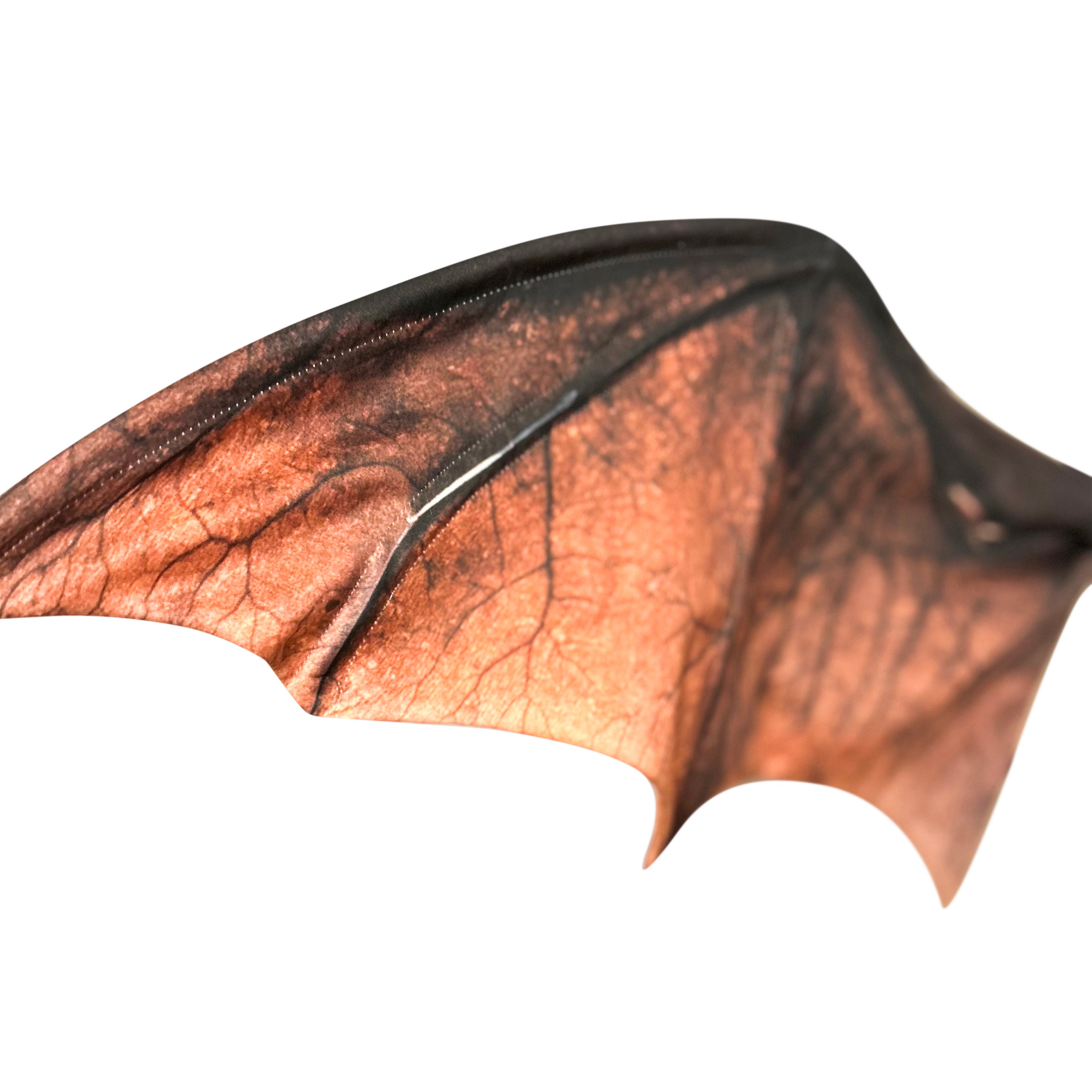 Bat Wing Texture