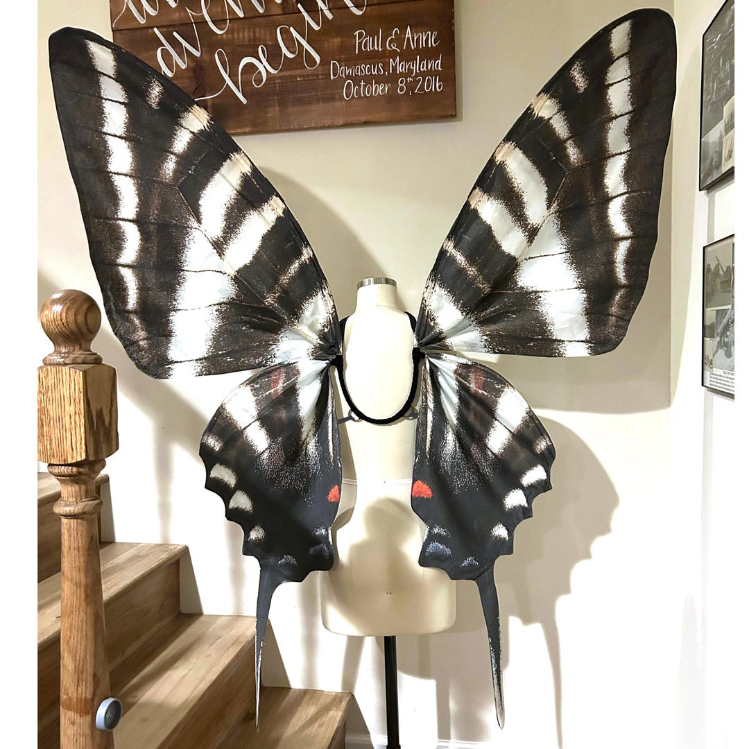 XL Zebra Swallowtail Butterfly Wings Costume, Butterfly Halloween ...