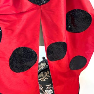 Ladybug Costume Adult Cape, Red and Black Faux Silk, Lady Bug Cape ...