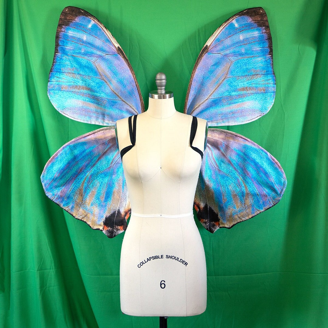 Large Blue Butterfly Costume Wings Morpho Sulkowskyi - Etsy