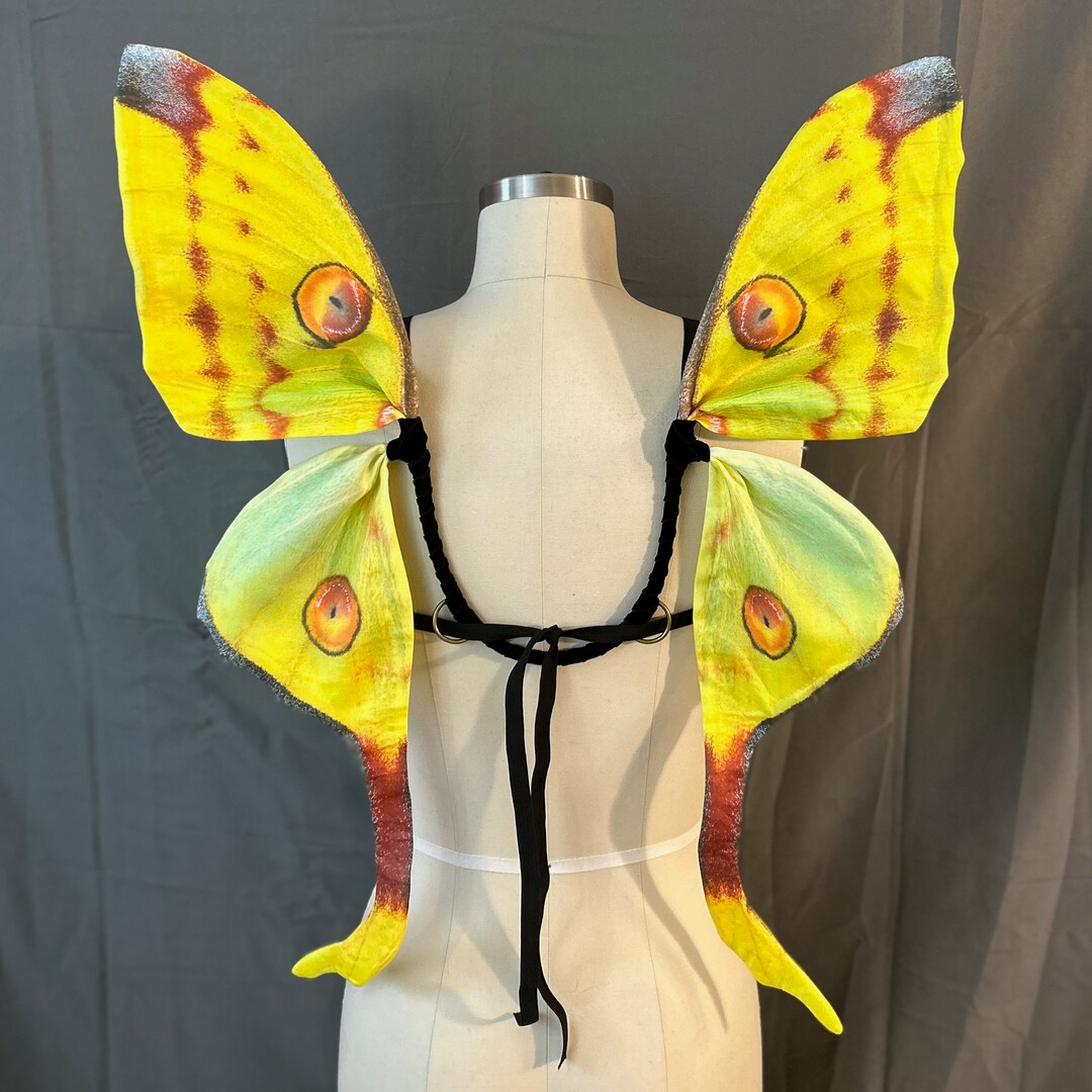 Small Comet Moth Costume Wings Convertible U-back for Corset or With ...