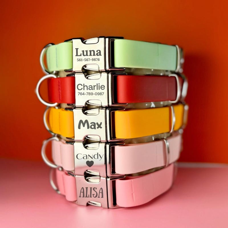 Thin Dog Collar Biothane - Etsy