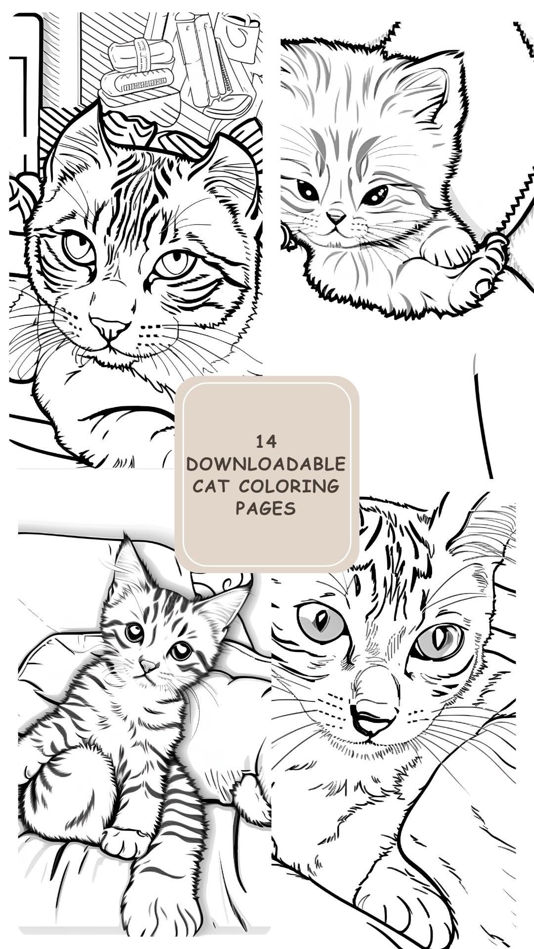 Cat and Kitten Coloring Pages Instant Digital Download - 14 Instant ...