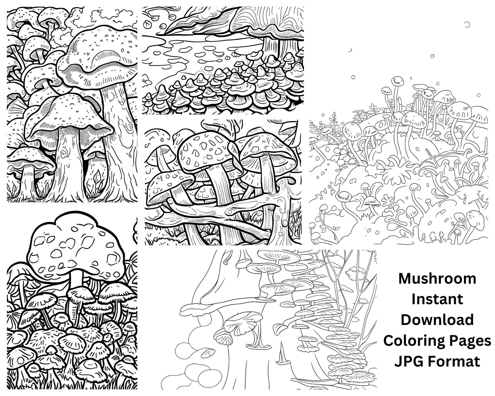 Mushroom Coloring Book Pages Instant Digital Download - 15 Instant ...
