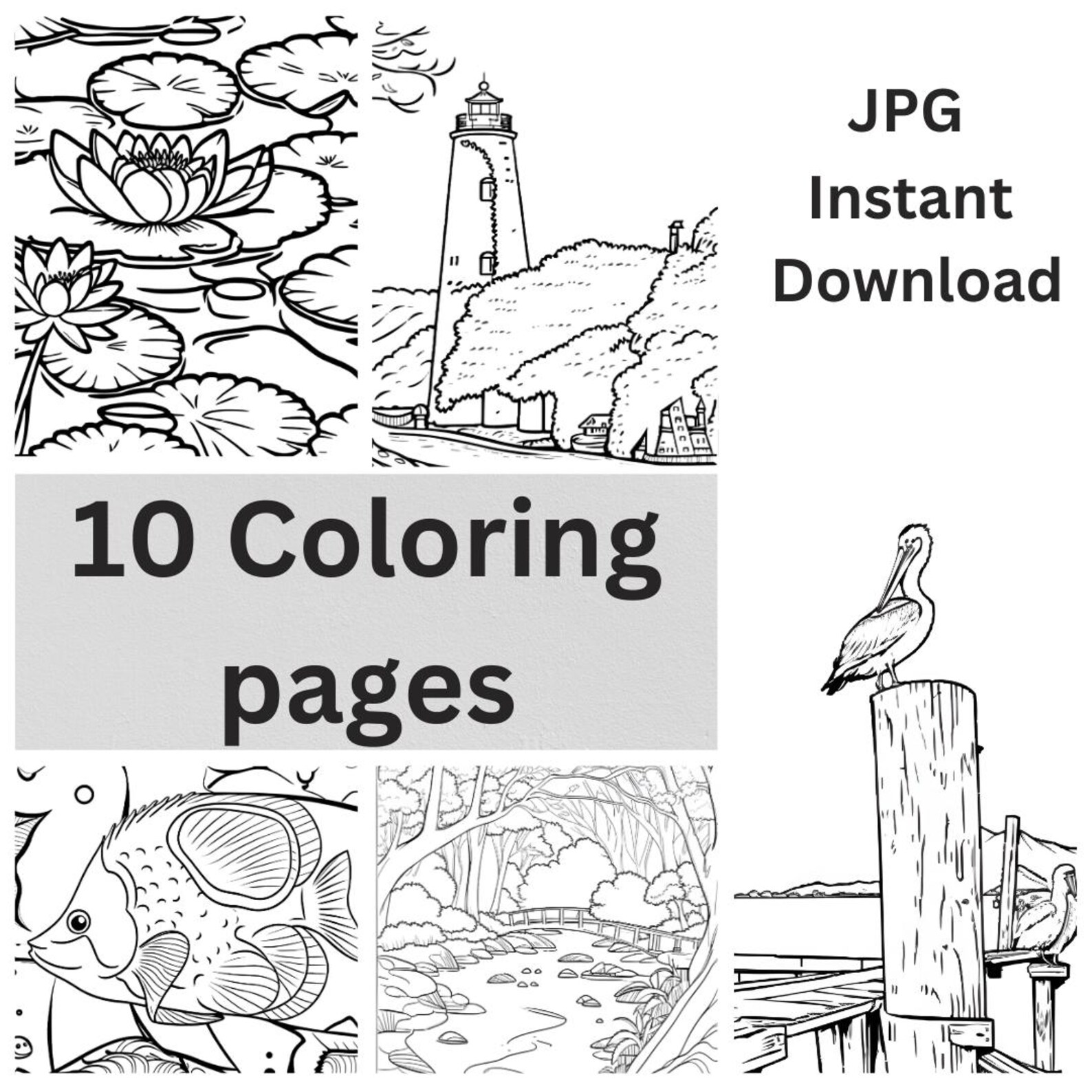 Adult Water Fun Coloring Pages Instant Digital Download - 8 Instant ...