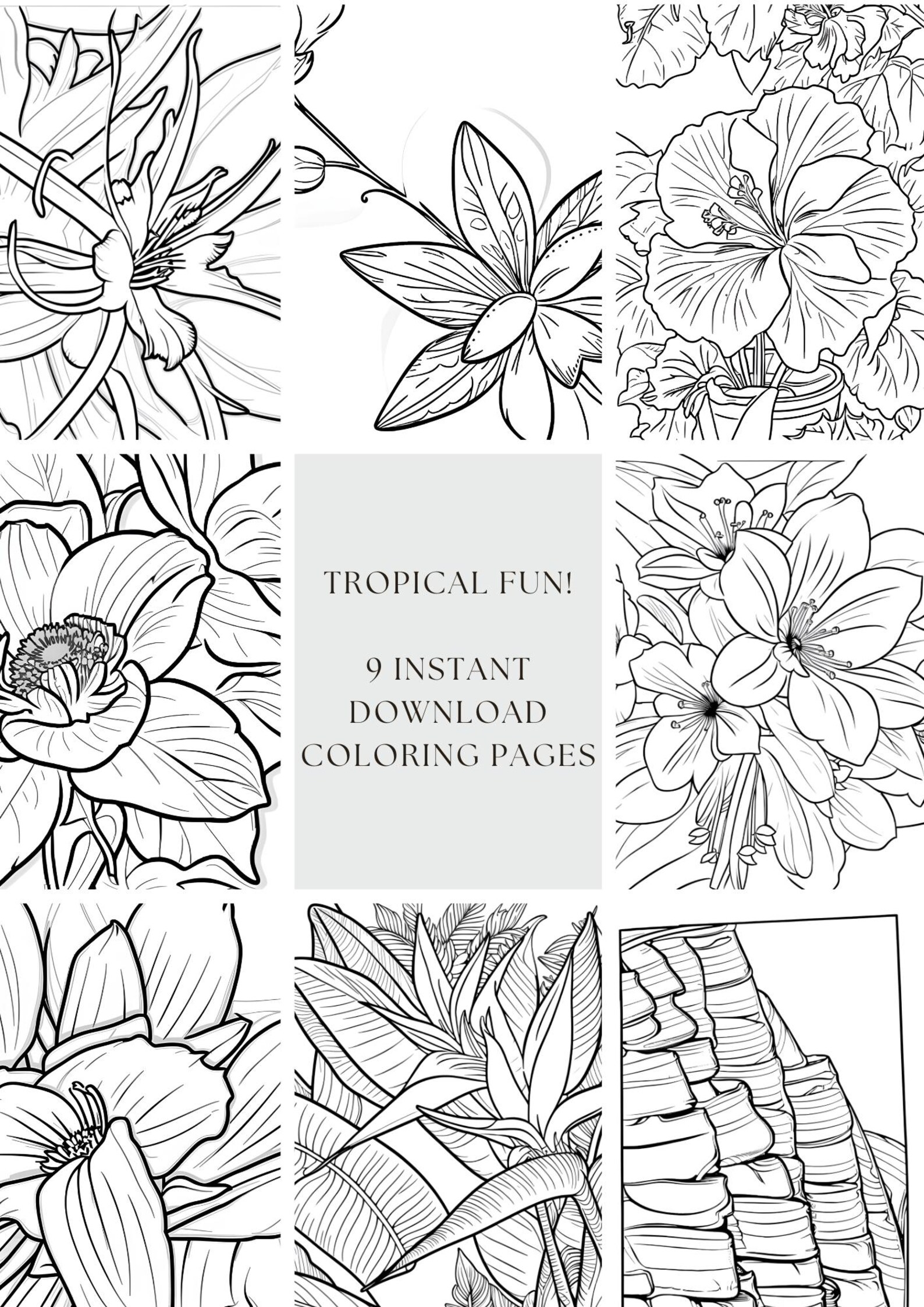 Tropical Indoor Plant Lover Coloring Book Pages Instant Digital ...