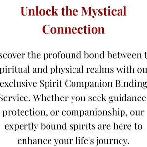 Spirit Companion Dragon Protection Fun - Etsy