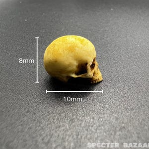 Hand-painted 3d-printed Resin Skulls - Perfect for Halloween ...