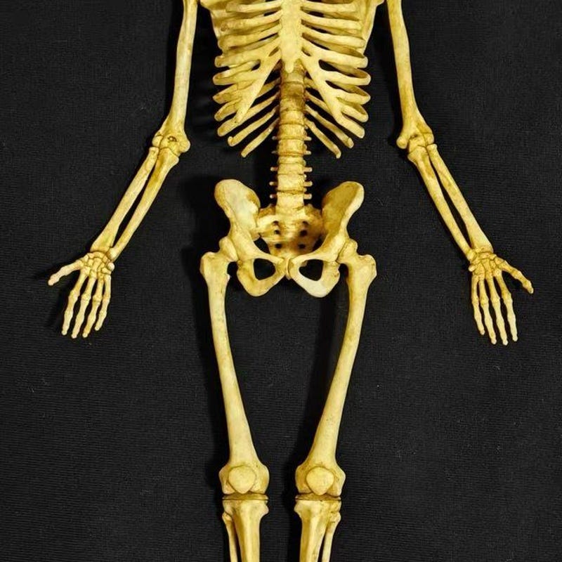 Human Scale Figure - Etsy