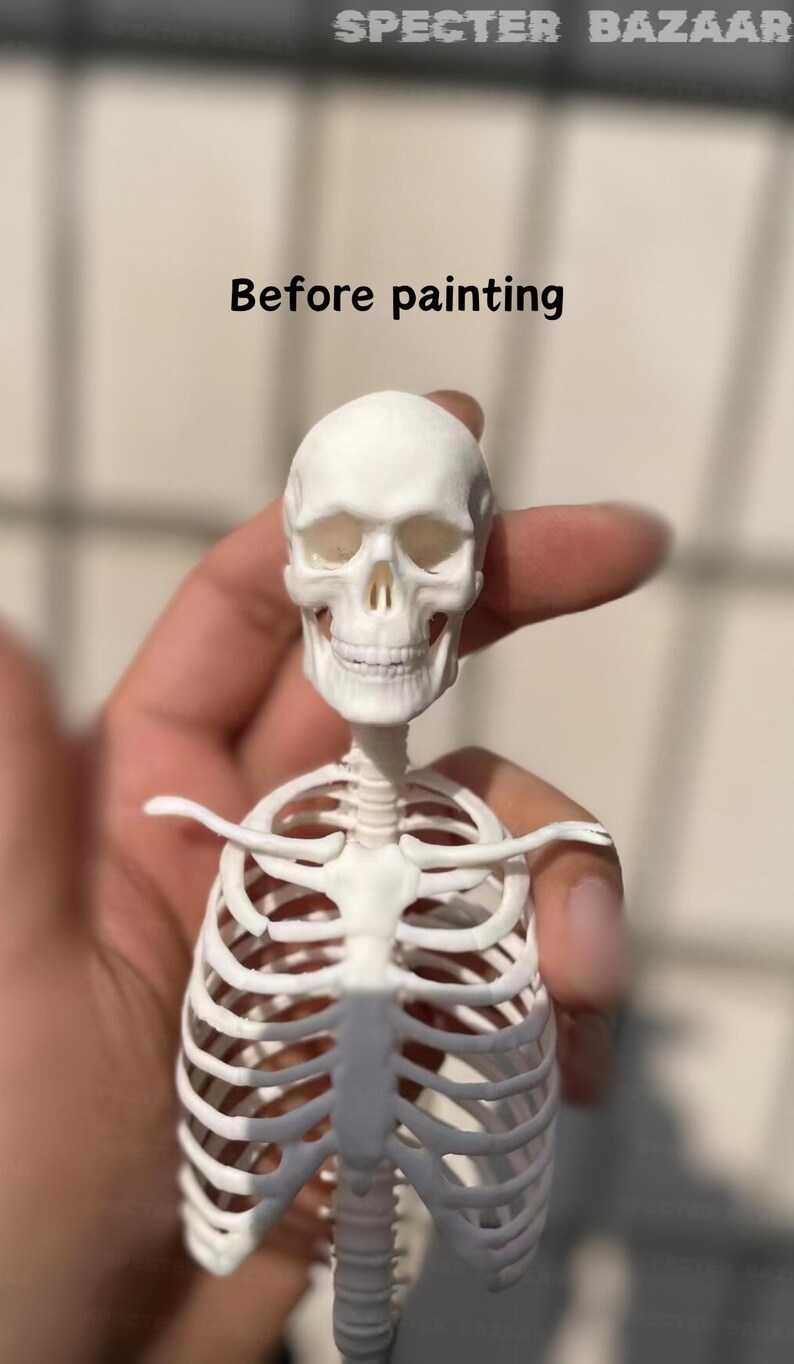 Hand-painted 3D Printed Human Skeleton Craft in Antique Bronze - Etsy