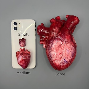Life Size Human Heart-horror Aesthetics-halloween Props-haunted House ...