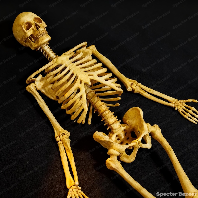 Wooden Hand Model Painted - Etsy