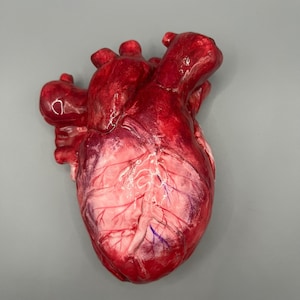 Life Size Human Heart-horror Aesthetics-halloween Props-haunted House ...