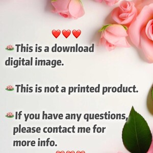 Blooming Pink Roses - Etsy