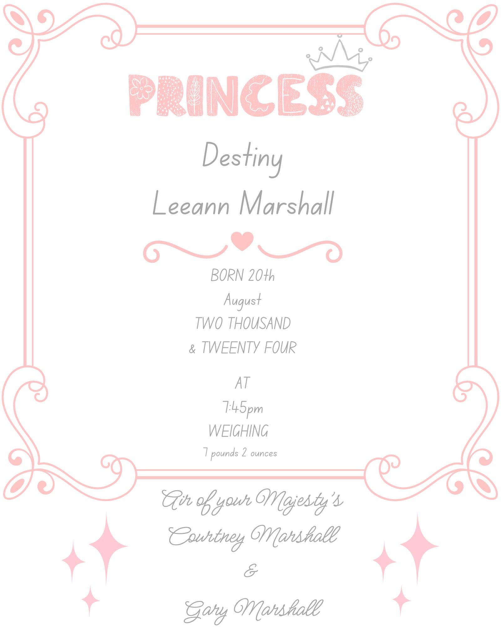 Personalized Princess Themed Baby Birth Chart, Princess Decor, Baby ...
