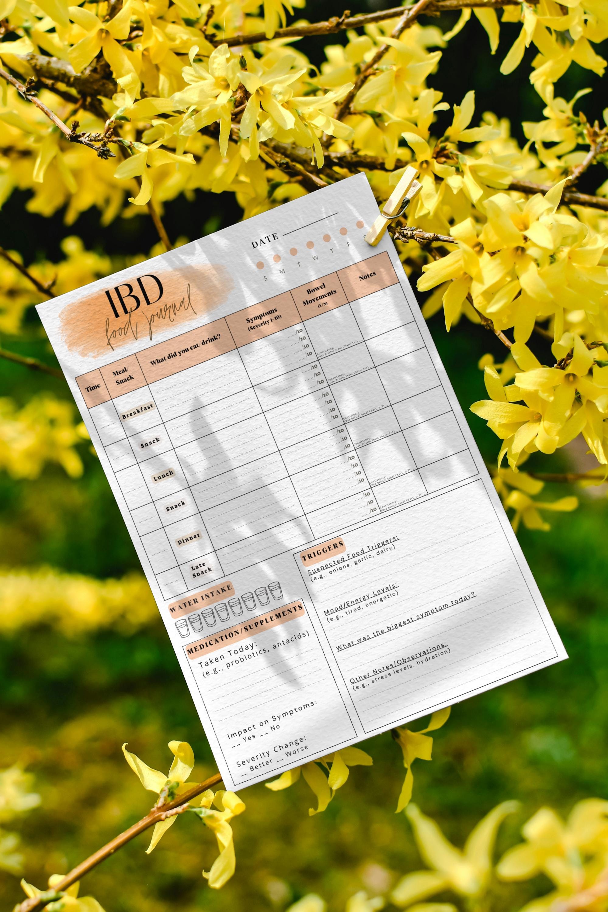 IBD Daily Food Diary Printable PDF Symptom Tracker Manage IBD With ...