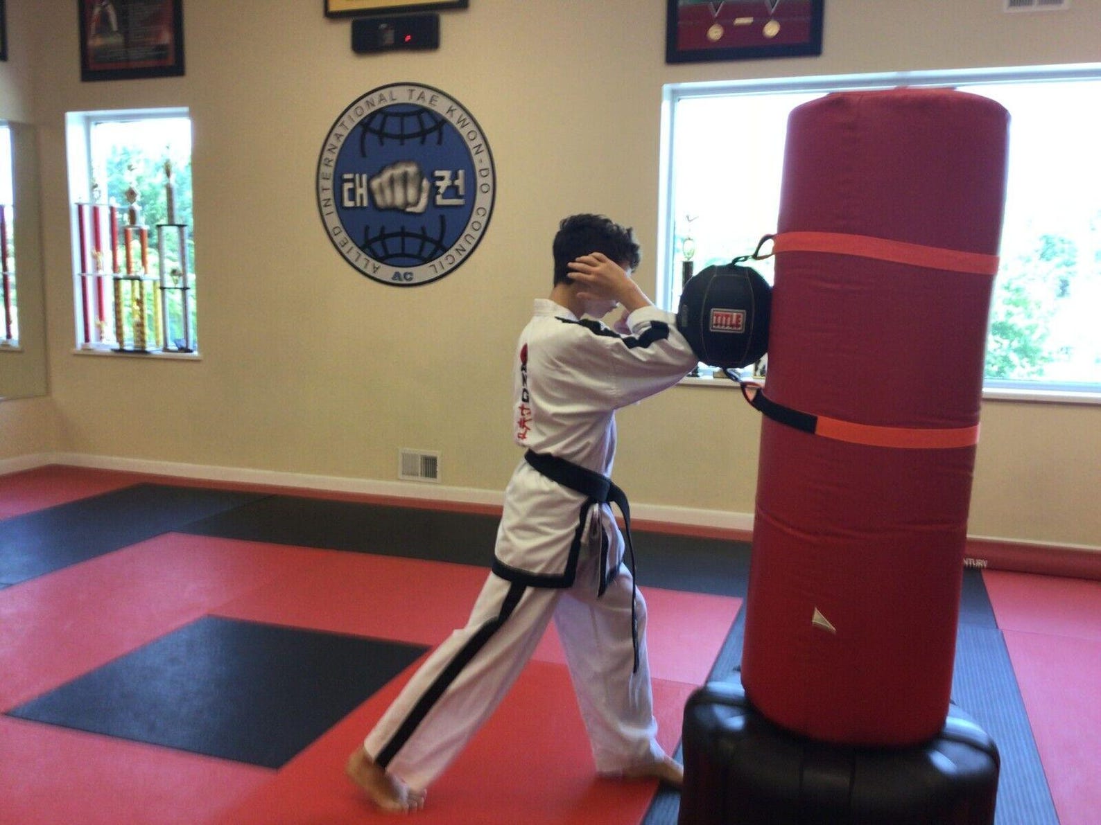 Martial Arts, Karate, MMA, Boxing Gifts, Karate Punching Bag Grip ...