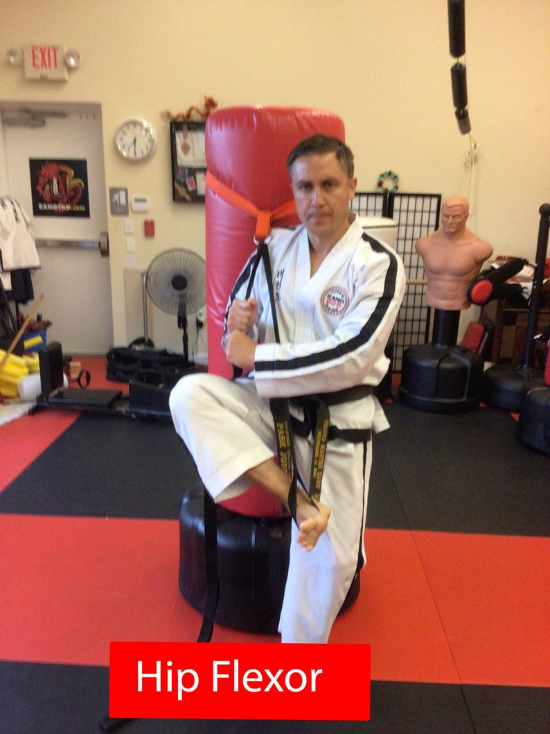 Punching Bag, BOB, Martial Art, MMA, Kung Fu, Karate, Taekwondo, Boxing ...