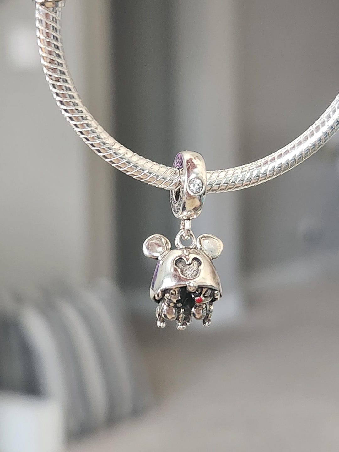 Chipmunk Charm, Bracelet Charm, Chipmunk Pendant, Gift, S925 - Etsy