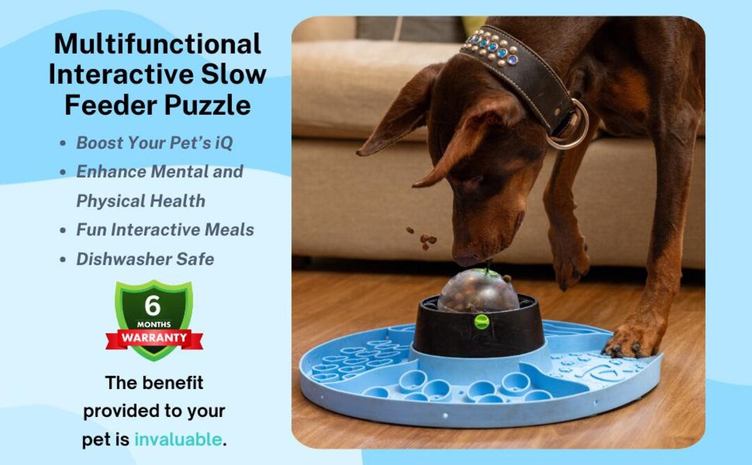Slow Feeder Dog Bowls With Snuffle Mat for Dogs Cats Foraging Skill ...