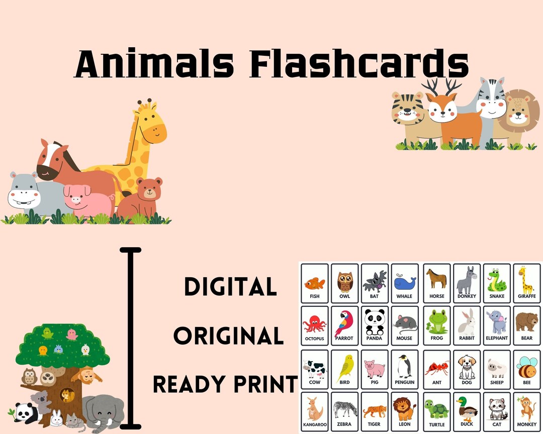 32 Farm Animals Cards Montessori Flash Cards Pre-school Cards rainbow ...