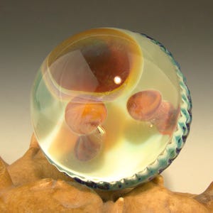 1.5 Eyeball Marble Glass Monster Alien Dragon's Eye With Mushrooms ...