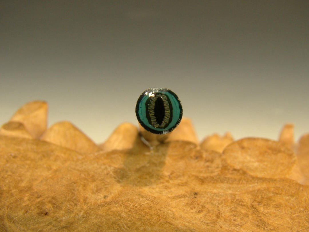 Reptile Eye Murrine Cane for DIY Glass Eye Boro COE33 Eye Milli ...