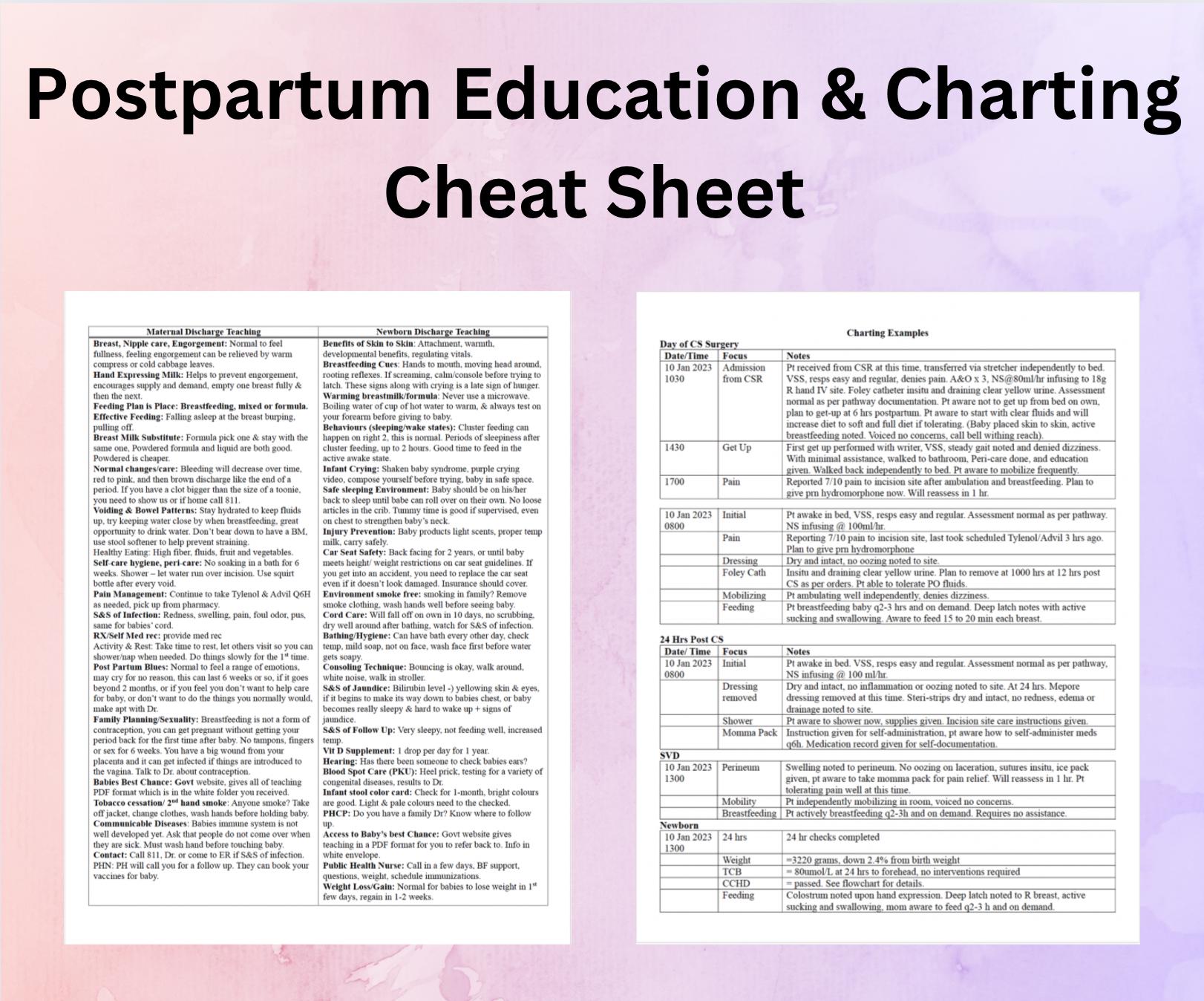 Nurse/student Report, Timetable, Assessment, Charting, Discharge ...