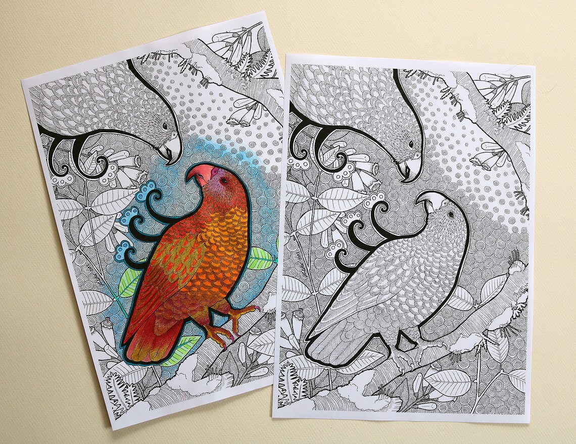 New Zealand Kaka Digital Coloring Page. Instant Download. Printable ...