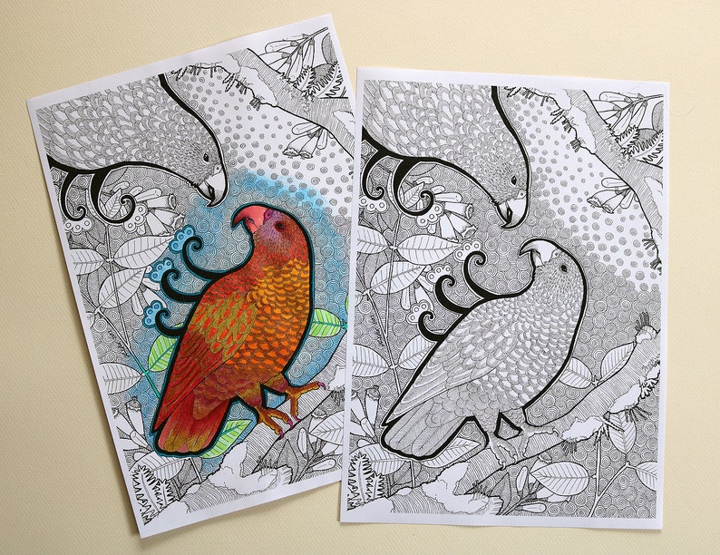 New Zealand Kaka Digital Coloring Page. Instant Download. Printable ...